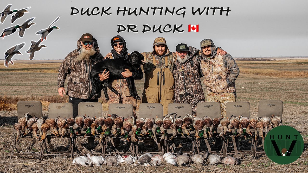 HUNTING FIELD DUCKS with DR DUCK - YouTube