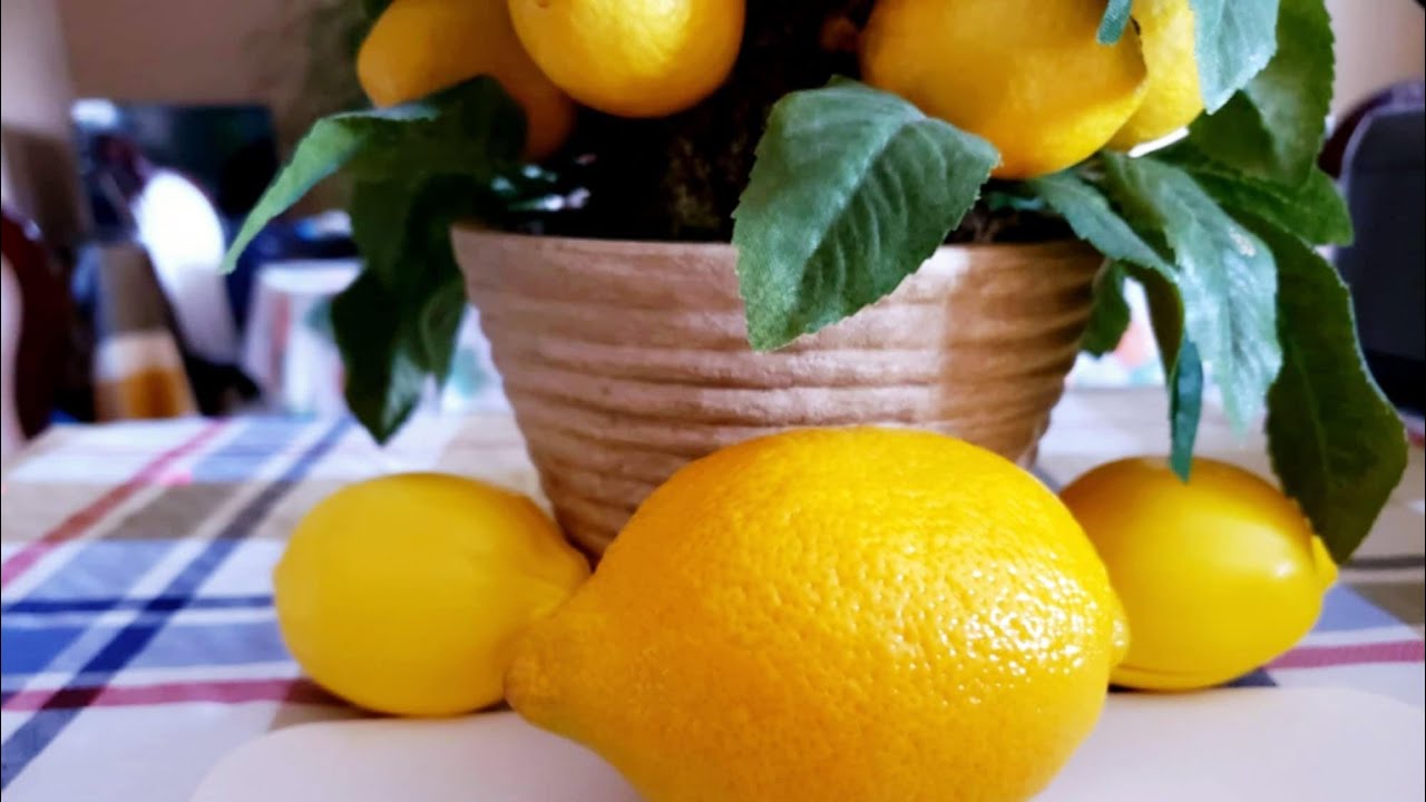 LIVE! LEMON CUTTING TRICK🍋 - YouTube