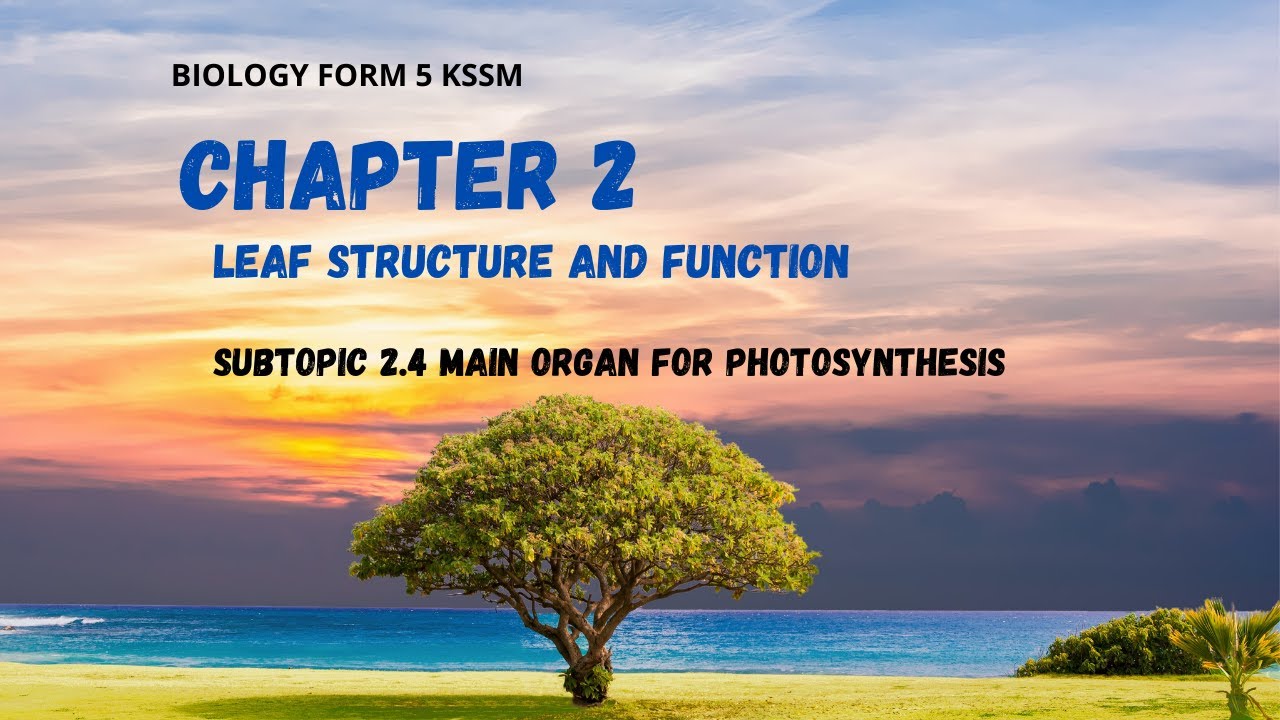 BIOLOGY FORM 5 KSSM : CHAPTER 2 (SUBTOPIC 2.4) - YouTube