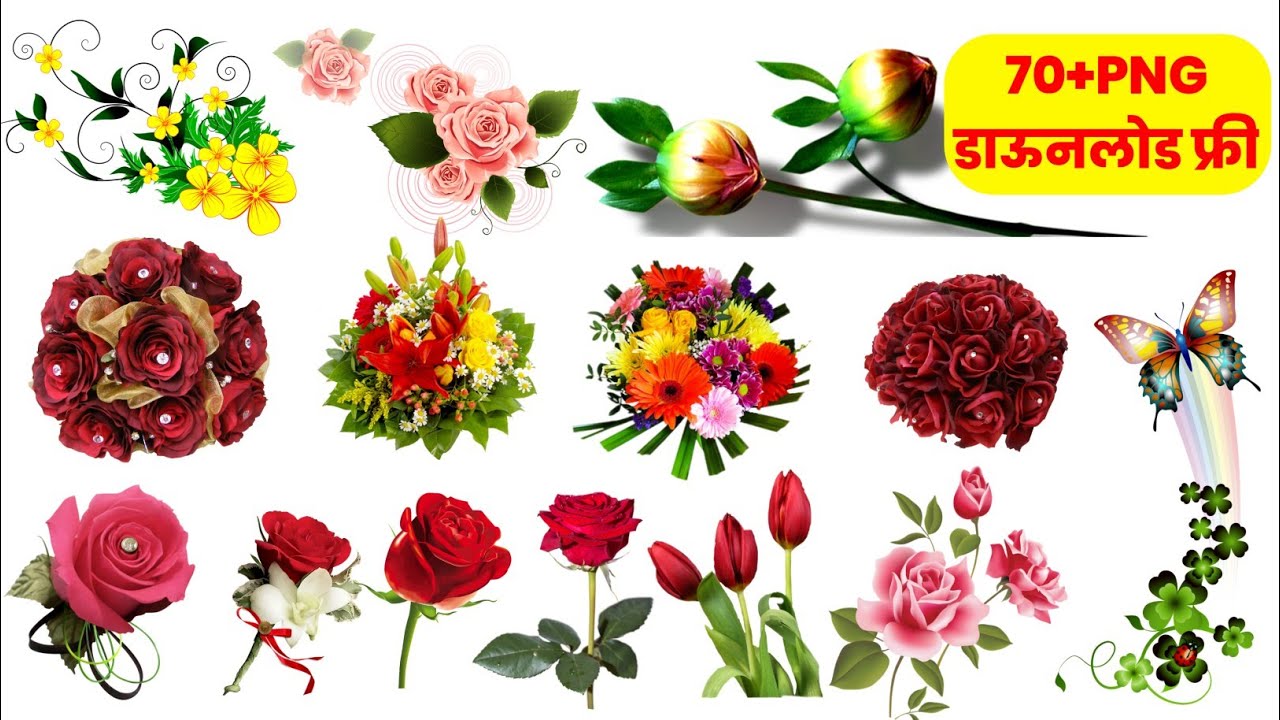 Flowers png download kare|flowers clipart png download|phool png ...
