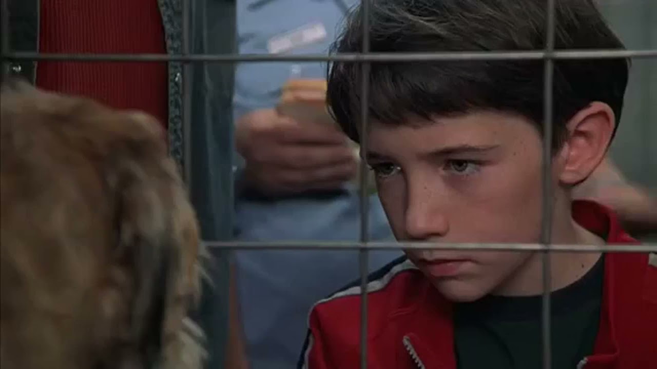 good boy! (2003) - owen adopts hubble - YouTube