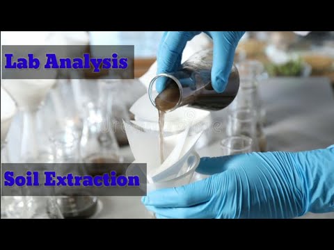 Soil Extract Filtration - YouTube