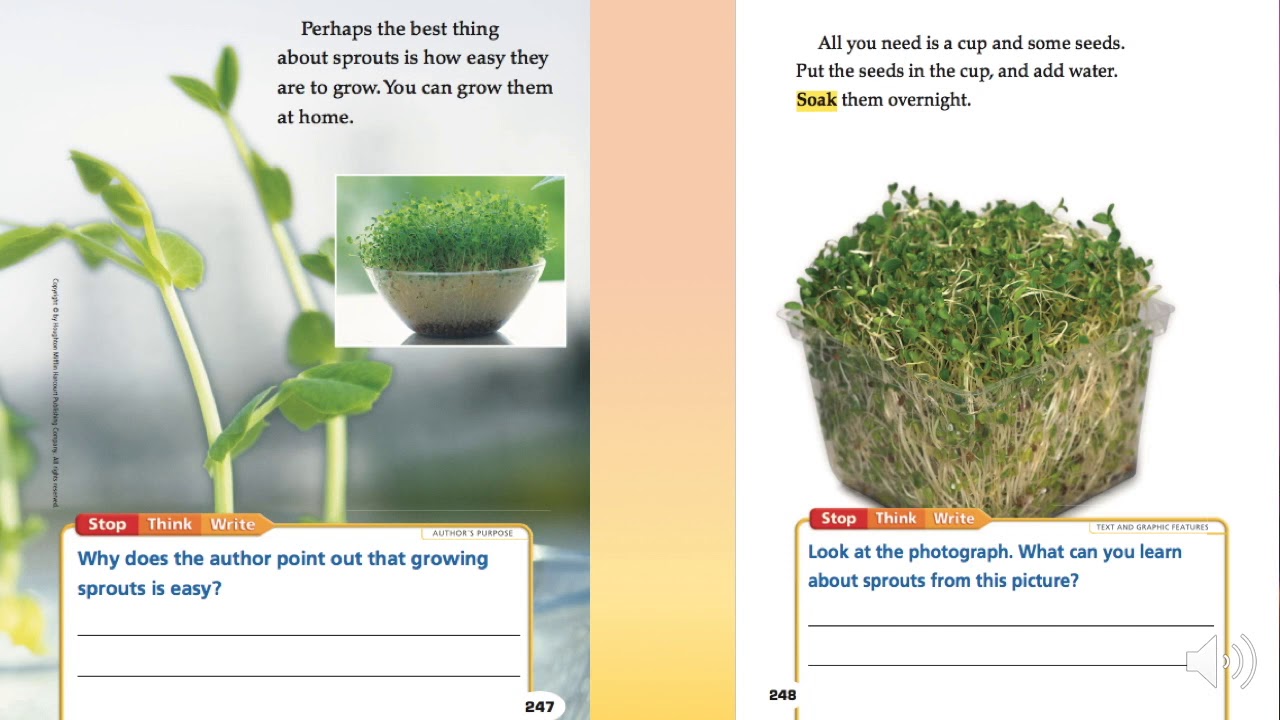 Write in Reader Lesson 25- Growing Sprouts - YouTube