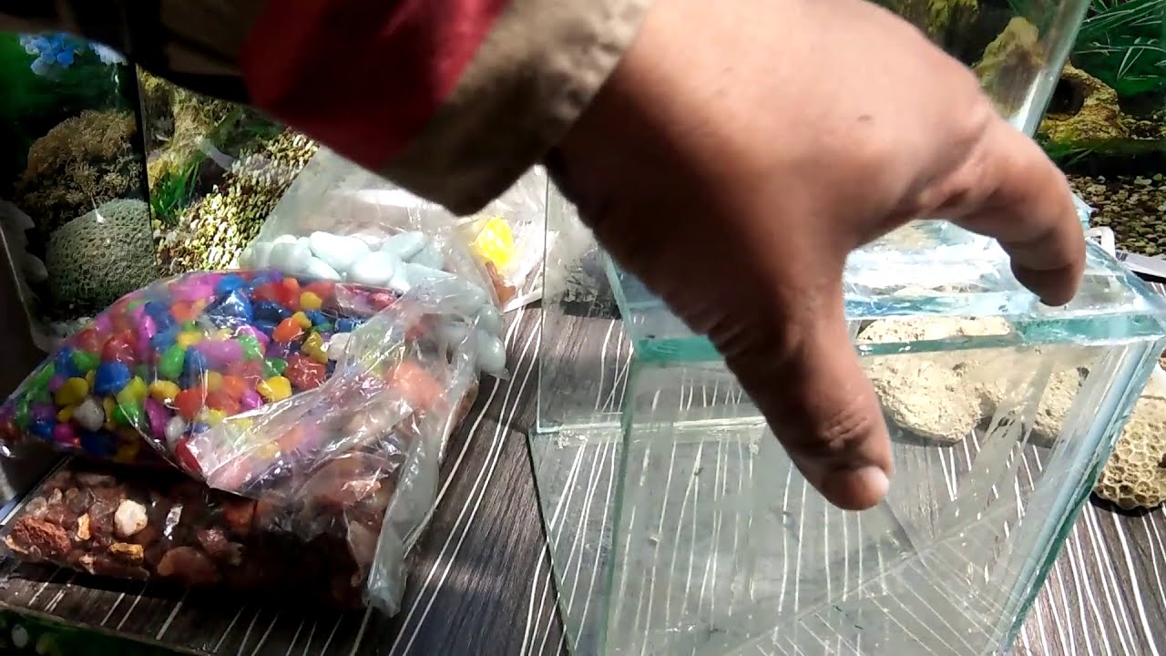 How to make a multi level aquarium at home - try it yourself - YouTube