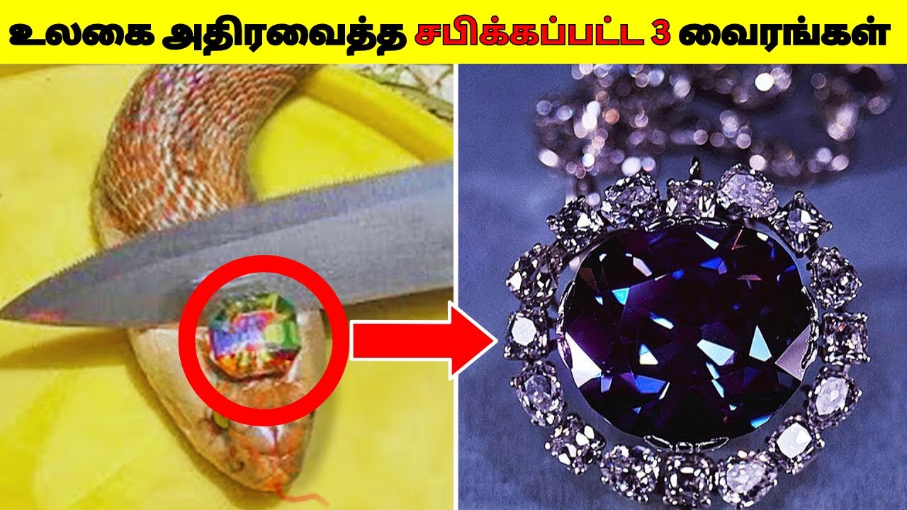 உலகை அதிரவைத்த சபிக்கப்பட்ட 3 வைரங்கள் 2024/Mystery of Kohinoor Diamond/Hope Diamonds/Dee ...