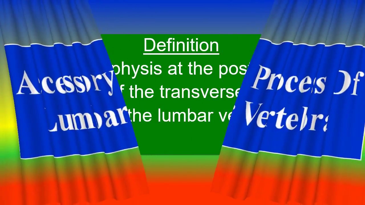 Accessory Process Of Lumbar Vertebra - YouTube