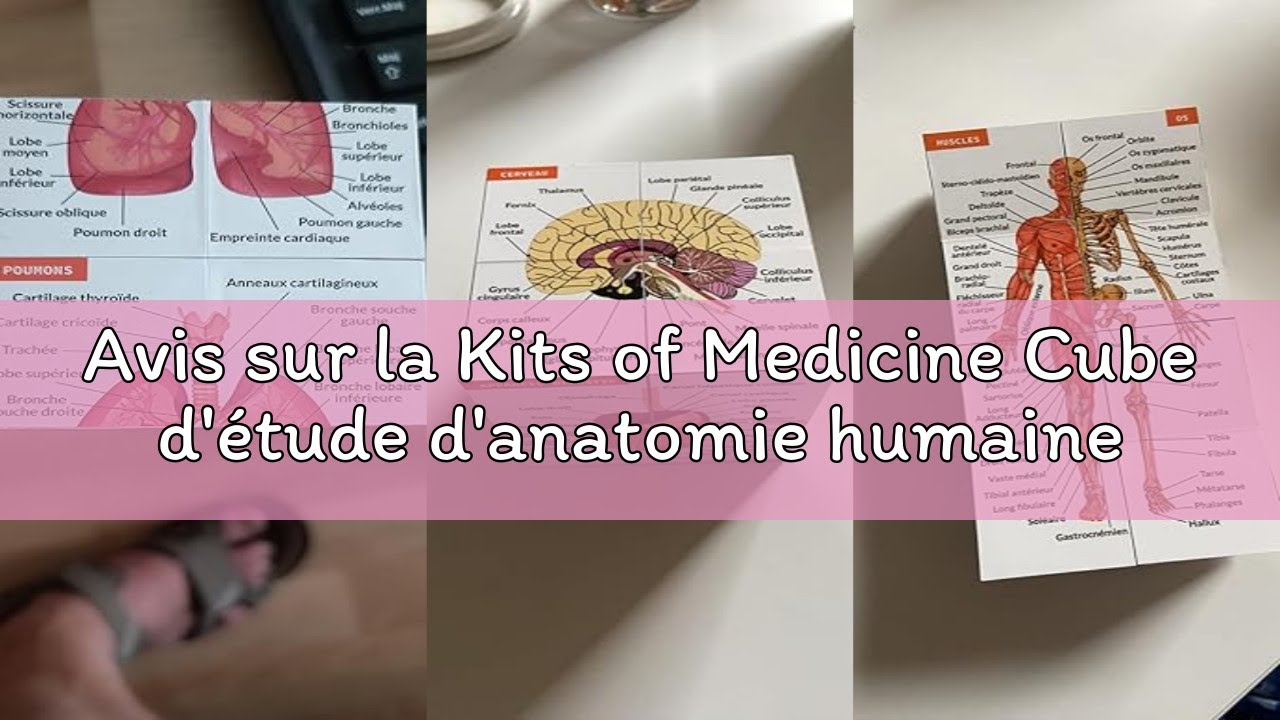 Avis sur la Kits of Medicine Cube d'étude d'anatomie humaine EN ...