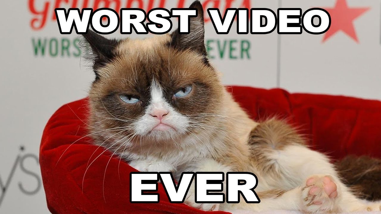 Grumpy Cat Memes - YouTube