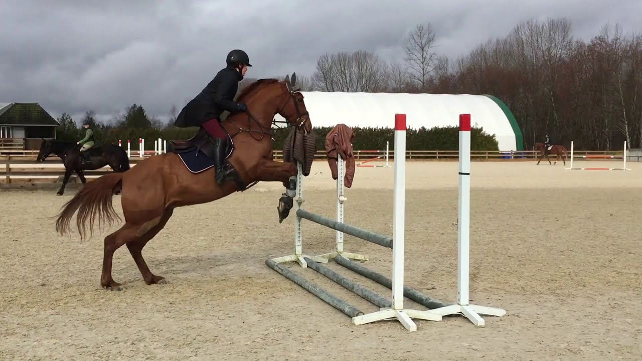 2017 Equestrian Fails Compilation - YouTube