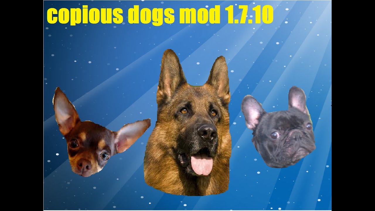 Présentation de mod : Copious Dogs - 1.7.10 - YouTube
