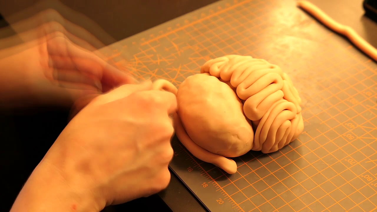 Clay Brain Part 1 YouTube Clay Brain Part 1 YouTube