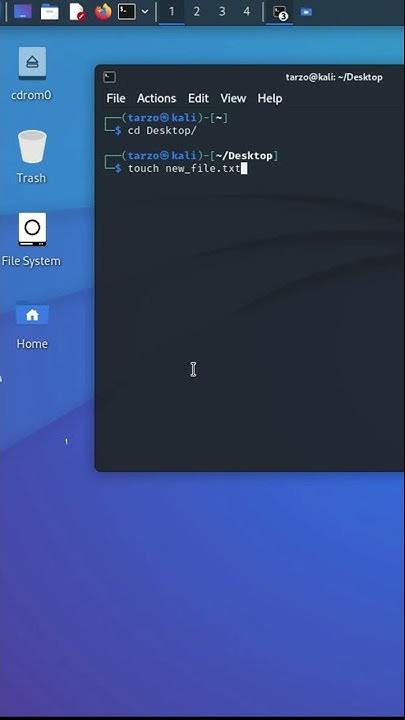 How to Create and Remove files from terminal in Kali Linux | File handling in Linux | - YouTube