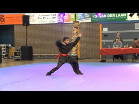 Wushu cup 2011  Jordi from Wushu Vlijt