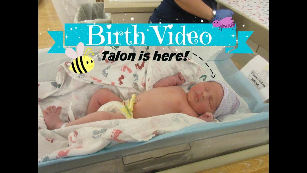 BIRTH VIDEO! TALON IS BORN!!! (12-9-2014 DAY 89) - YouTube