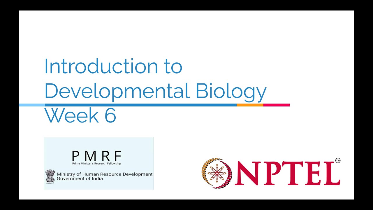 Introduction to Developmental Biology Week 6 (2025) - YouTube