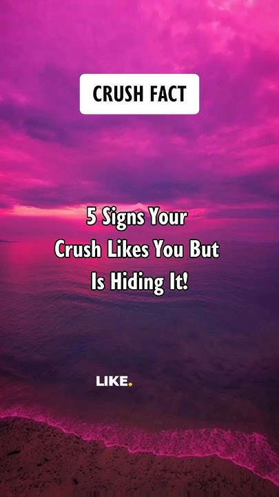 5 Signs Your Crush Likes You But Is Hiding It! Crush Facts #shorts #psychologyfacts - YouTube