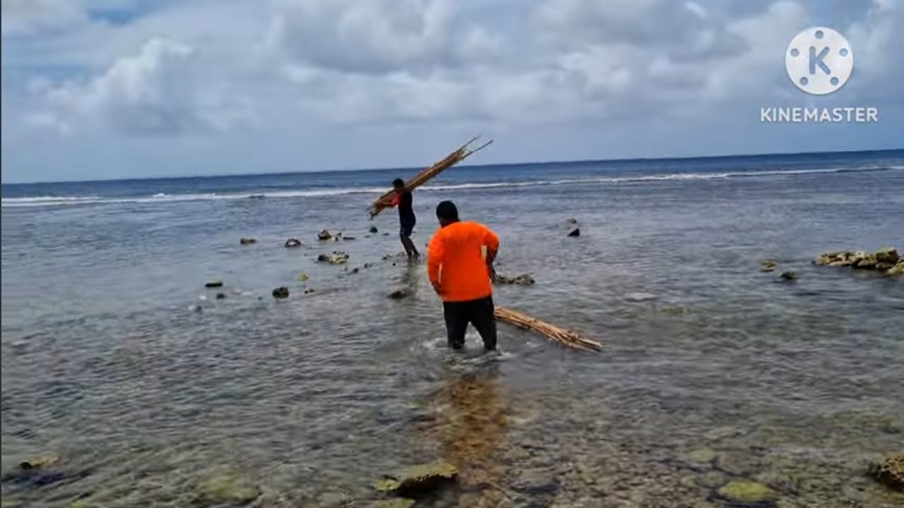 What Tongans use to make traditional mats. (ta'ovala or kiekie) - YouTube