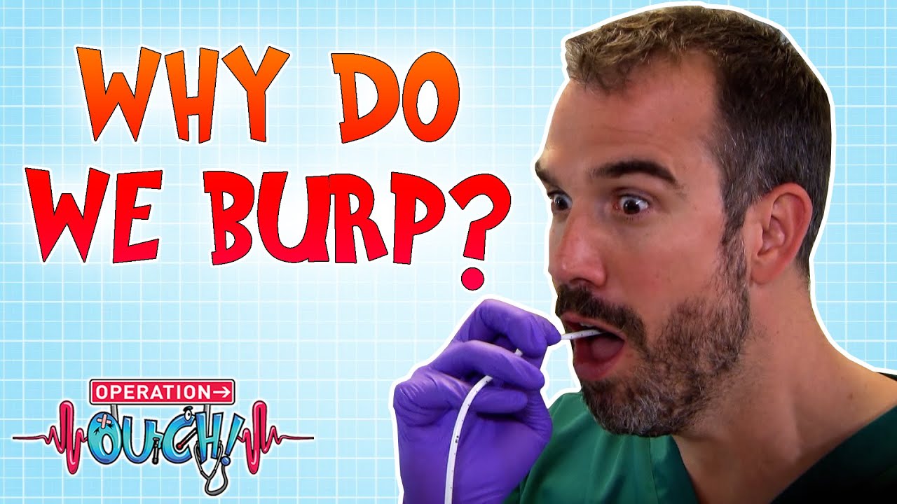 Why Do We Burp? | Operation Ouch - YouTube