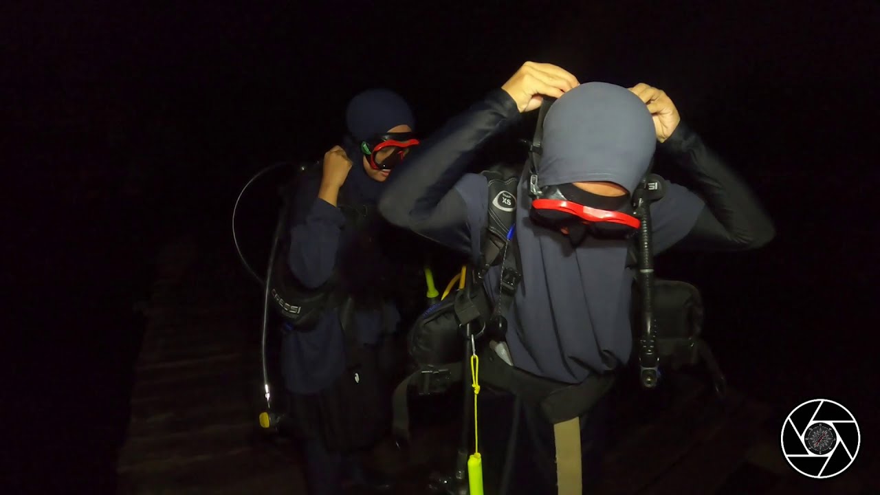 Night Dive With Lady DIver in Barlop Island - YouTube