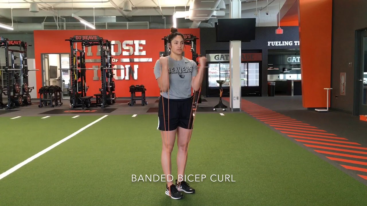 Banded Bicep Curl - YouTube