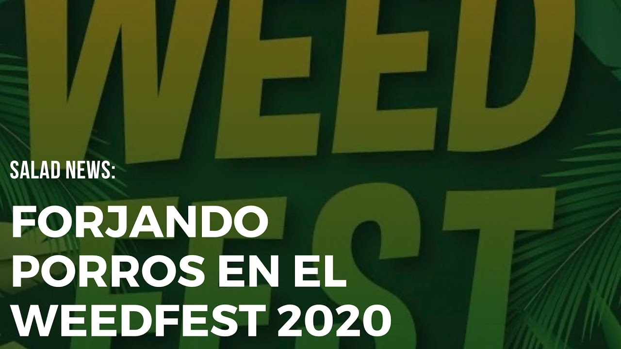 FORJANDO SIN VER EN EL WEEDFEST 2020 - YouTube