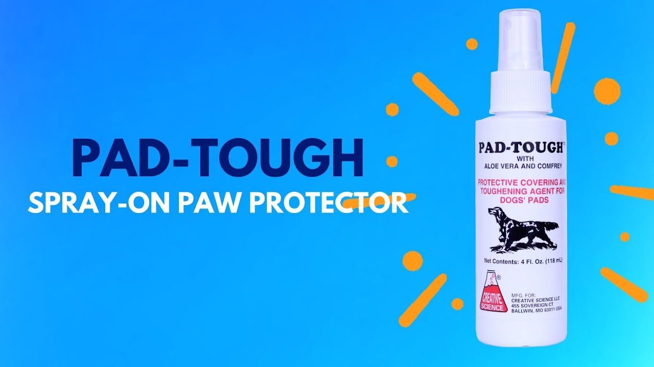 Protect Your Dog's Paws with Pad-Tough Spray-On Paw Protector - YouTube