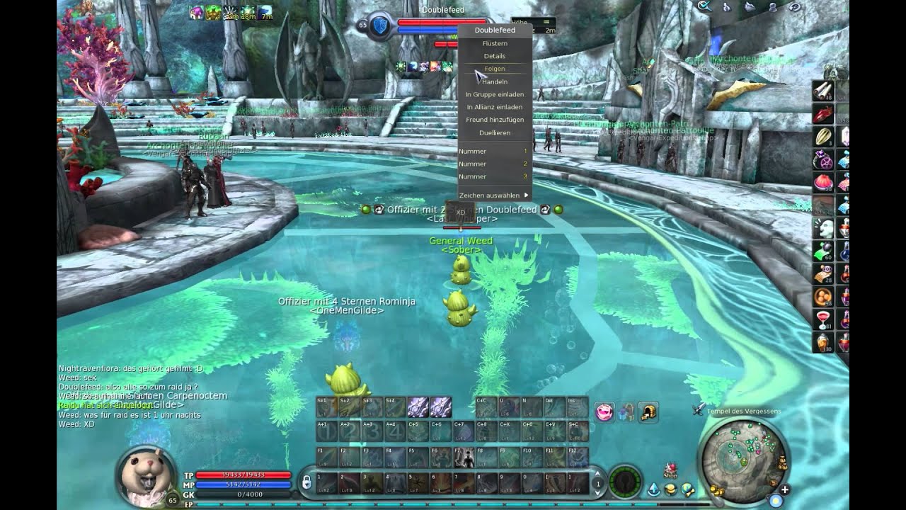 Aion Kaktus Raid - YouTube