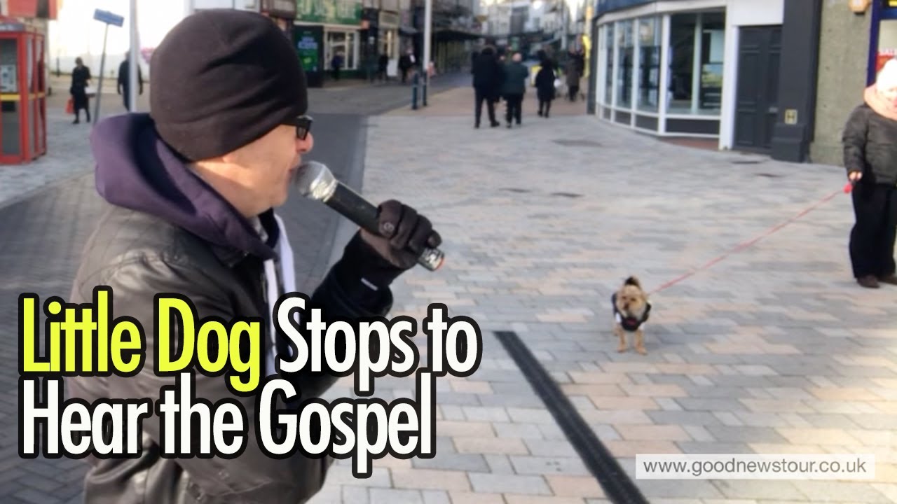Little Dog Stops to Hear the Gospel - YouTube
