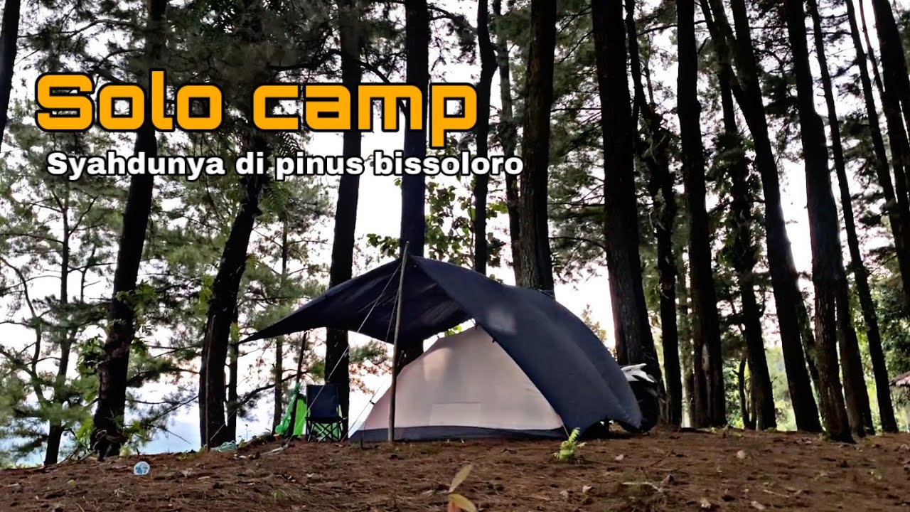 solo camp di hutan pinus Ramah Bissoloro begitu syahdu dan nyaman - YouTube