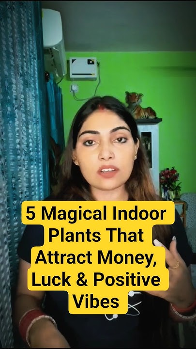 5 Magical Indoor Plants That Attract Money, Luck & Positive Vibes 🌿💰 #shorts - YouTube