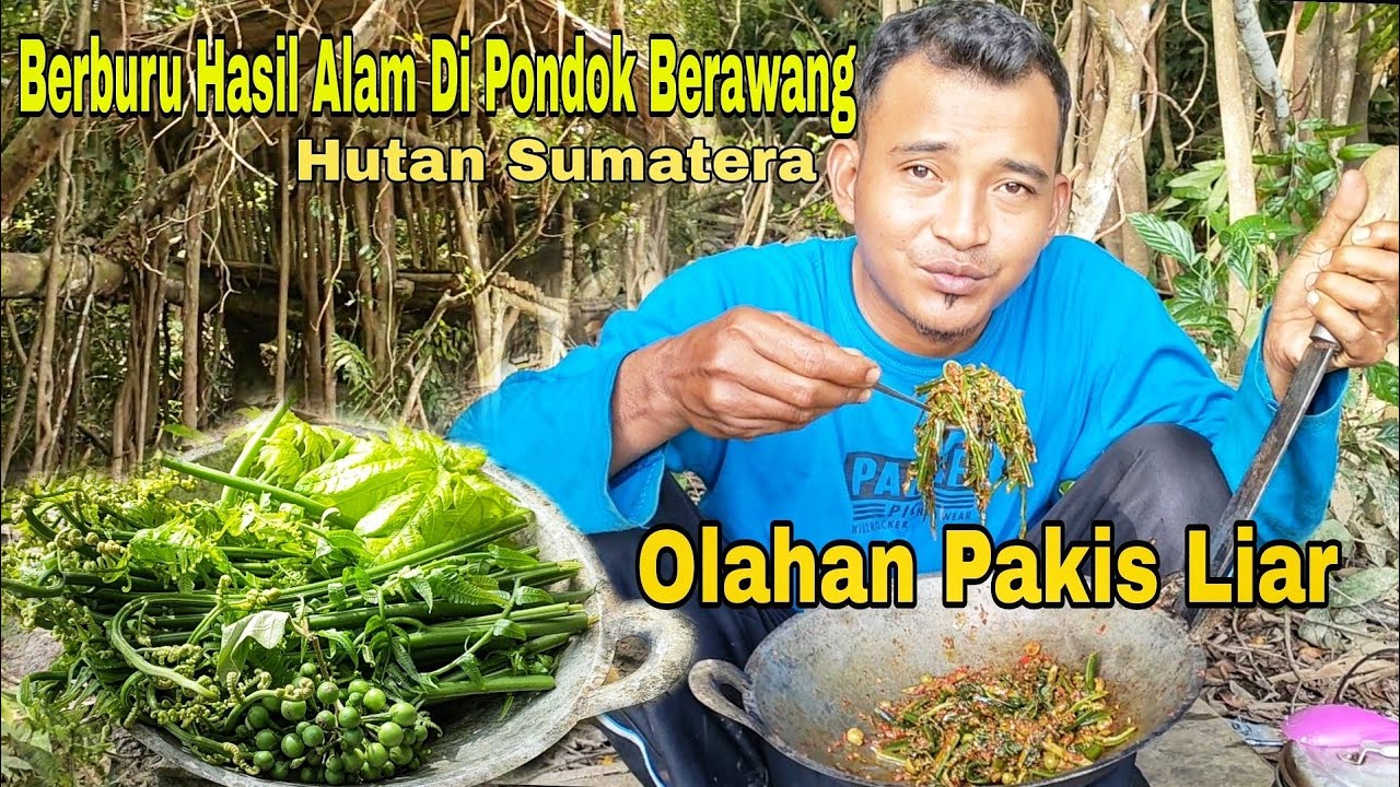 Berburu Hasil Alam Di Pondok Berawang...Olahan Pakis Liar - Hutan ...