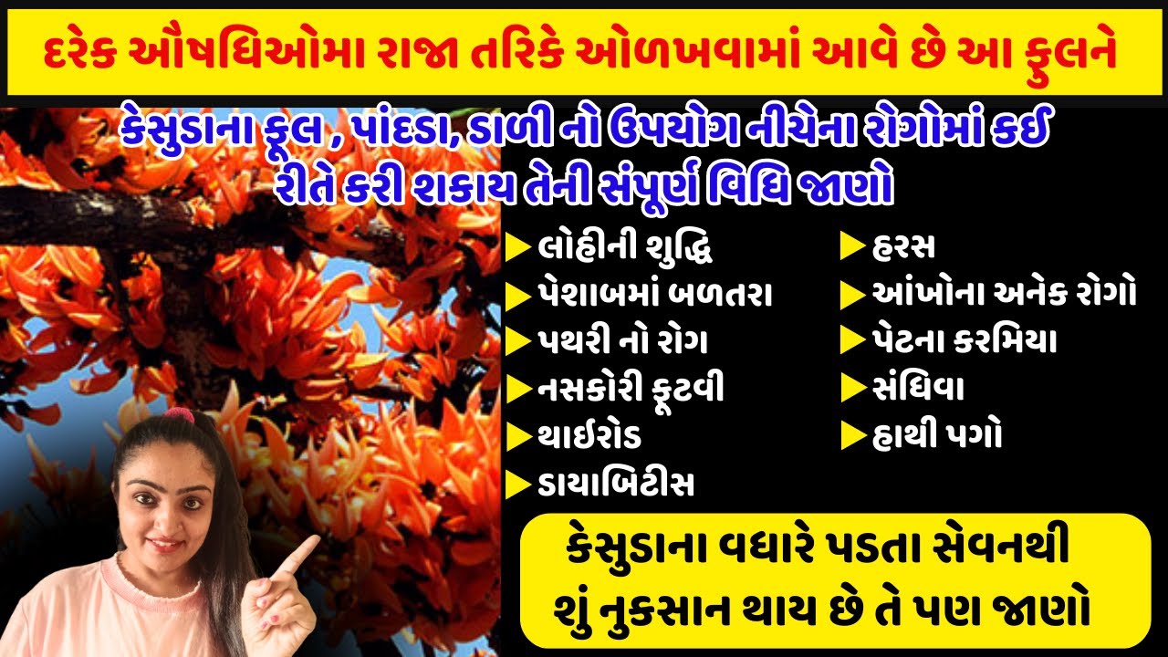 કેસુડા ના ફાયદા | Kesuda Na Phool Na Fayda/ Kesudo Tree - YouTube