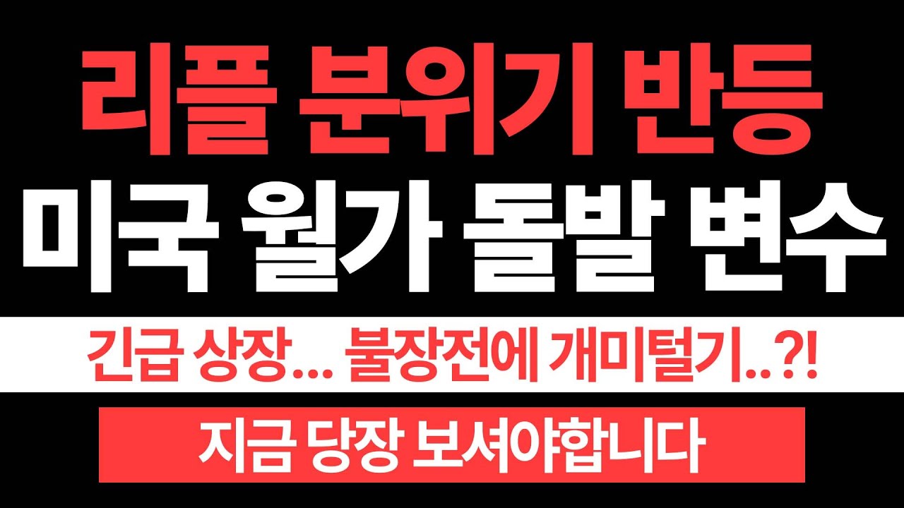 리플 월요일 리플 분위기 반등 시작 월가 돌발 변수 지금까지 개미털기리플 암호화폐 리플전망 코인