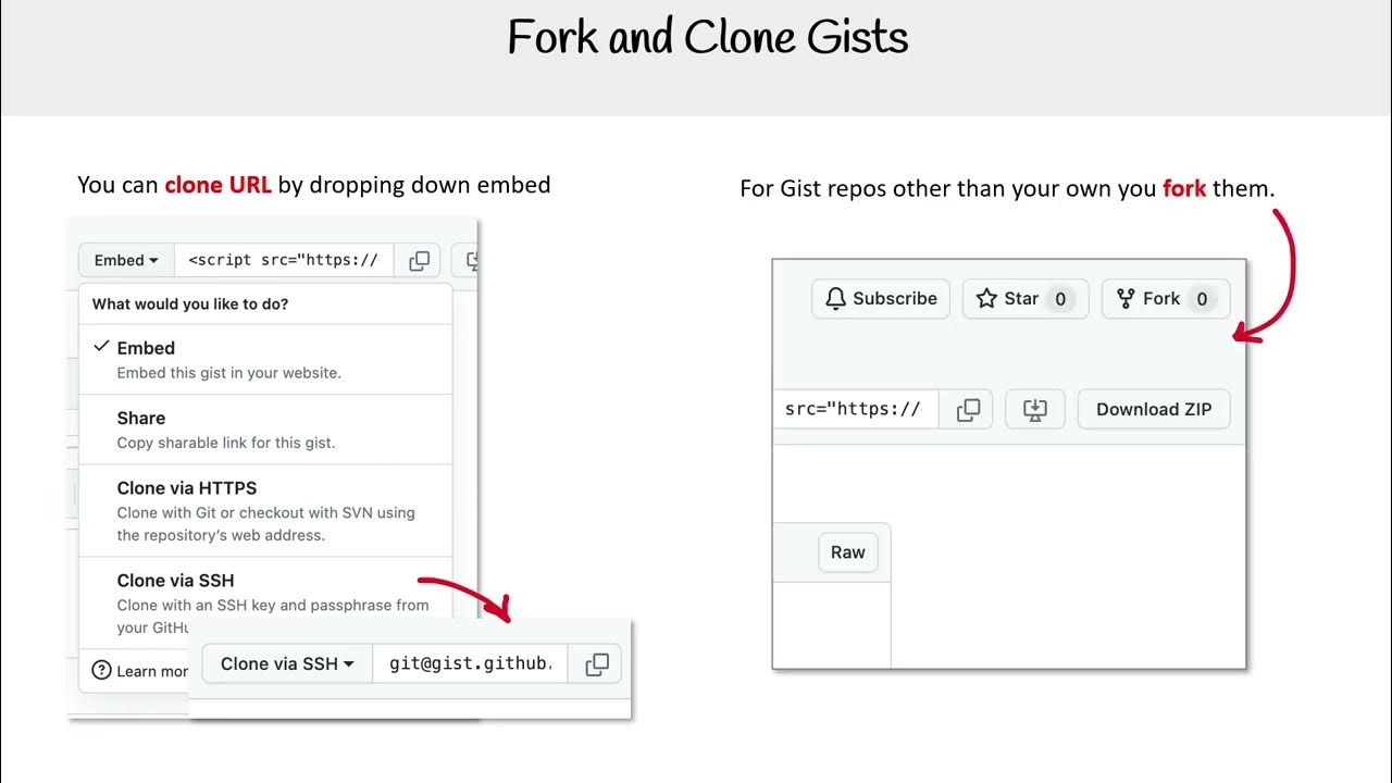 Forking and Cloning Gists in GitHub – GitHub Foundations Course - YouTube