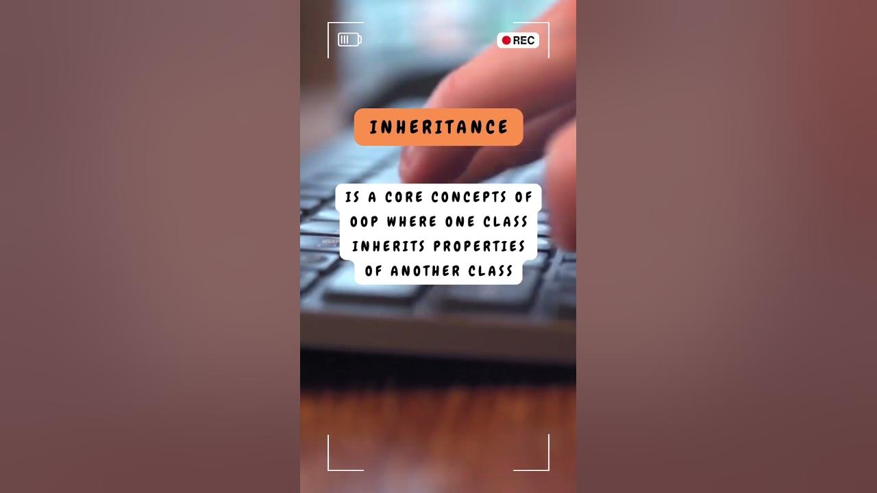 Example Of Inheritance In Oop Objectorientedprogramming Programming Coding Youtube