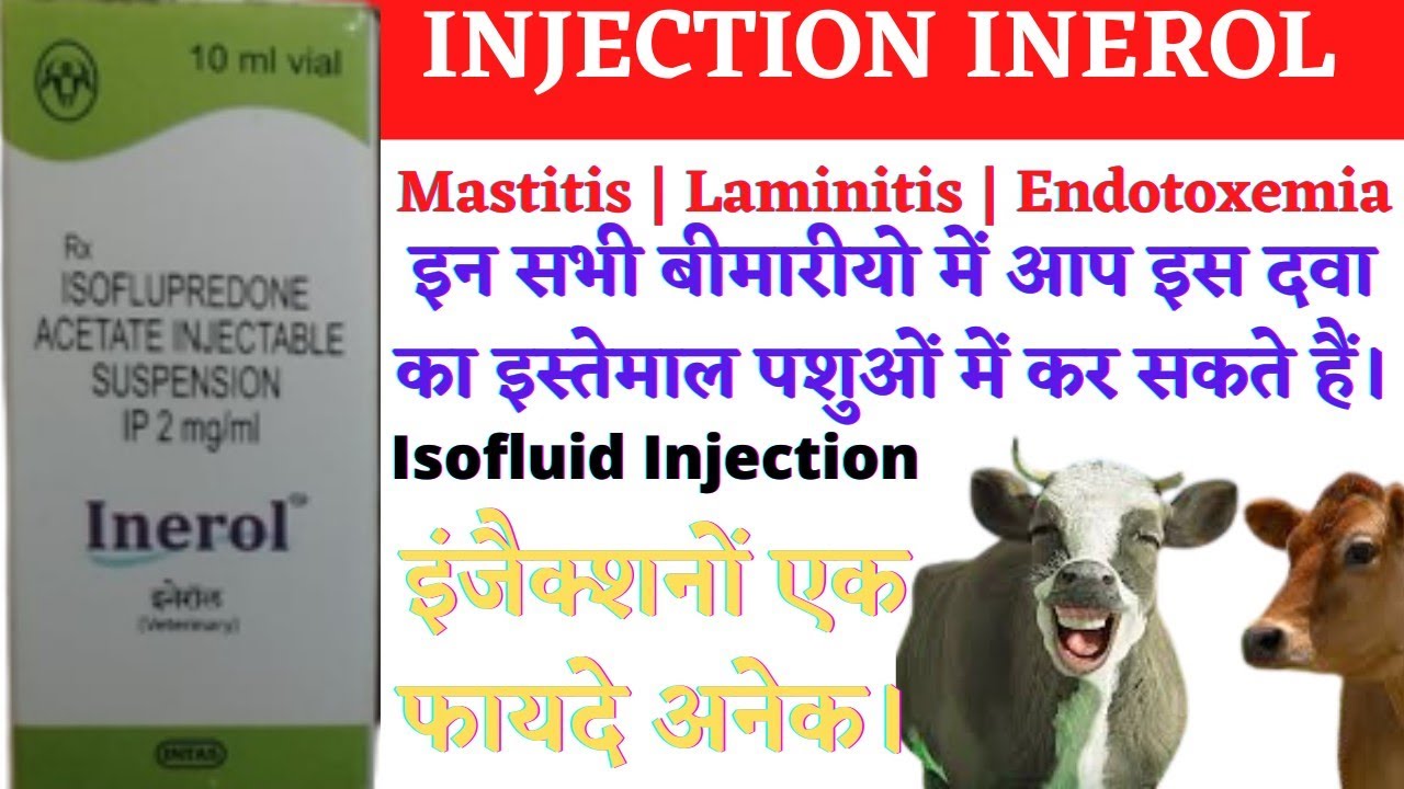 Inerol Injection | Isofluid Injection | Isoflupredone Acetate ...