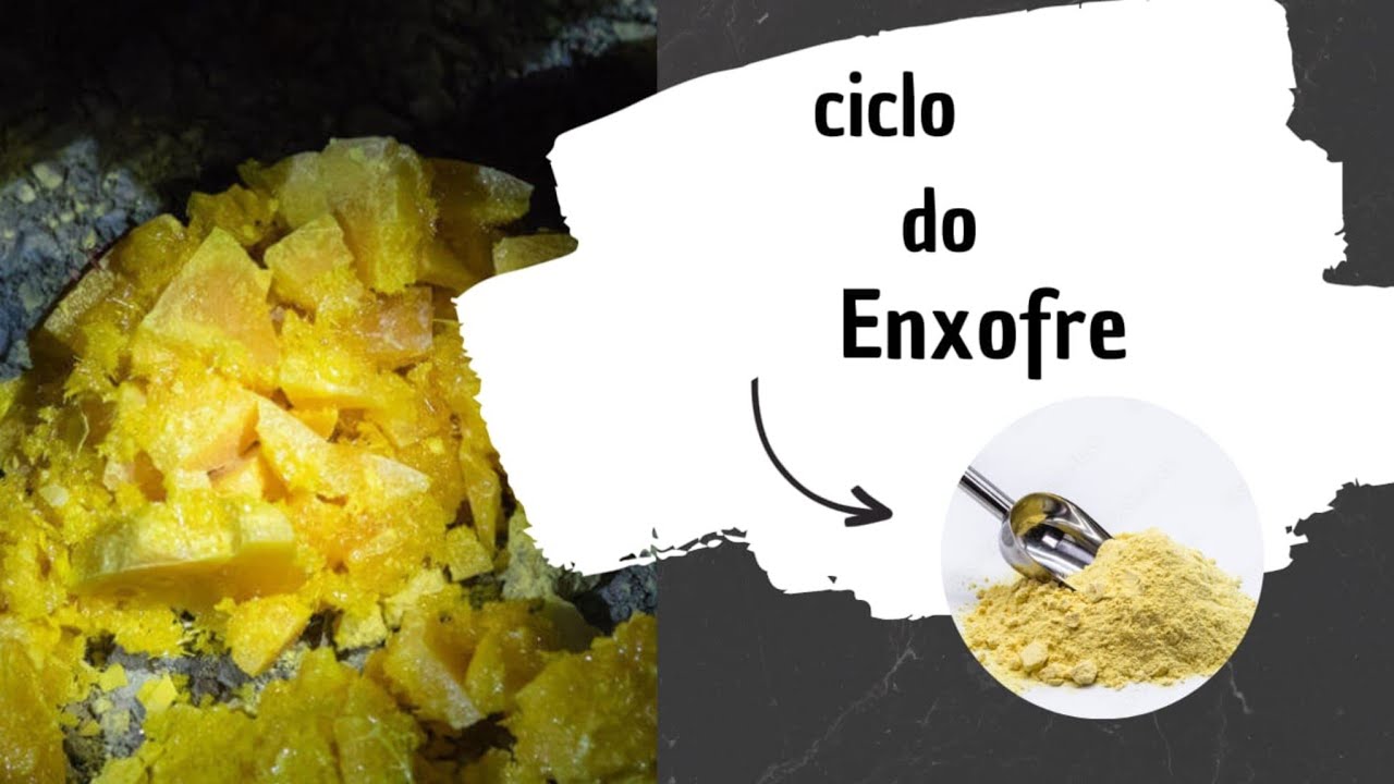Explorando o Ciclo do Enxofre - YouTube
