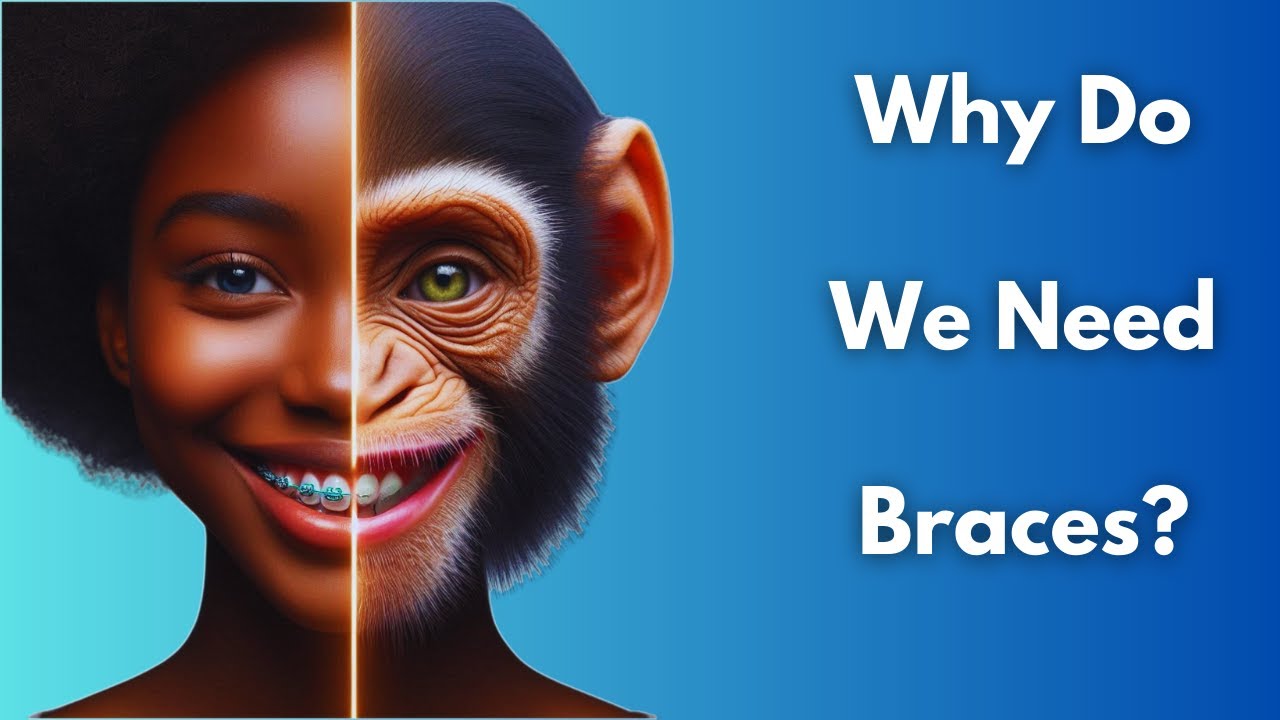 How Evolution Shaped Our Smiles: The Story of Human Teeth - YouTube