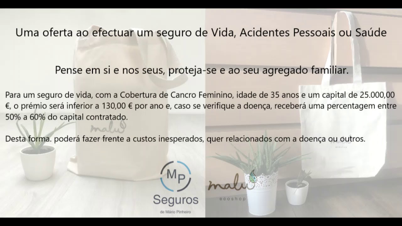 Parceria Mp Seguros e Malu ecoshop - YouTube