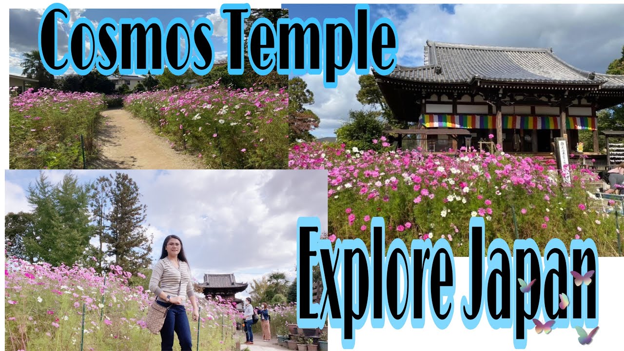 Cosmos Temple | Explore Japan - YouTube