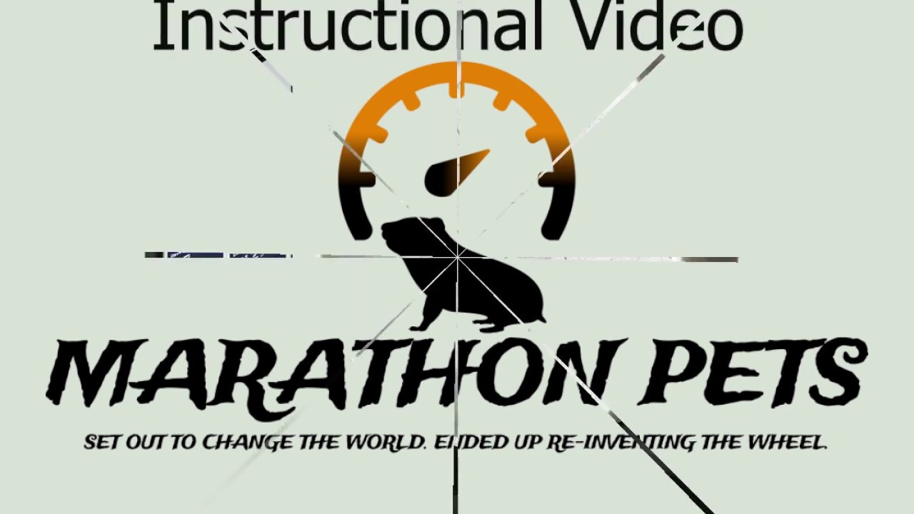 Marathon Pets Smart Wheel Setup Instructions - YouTube