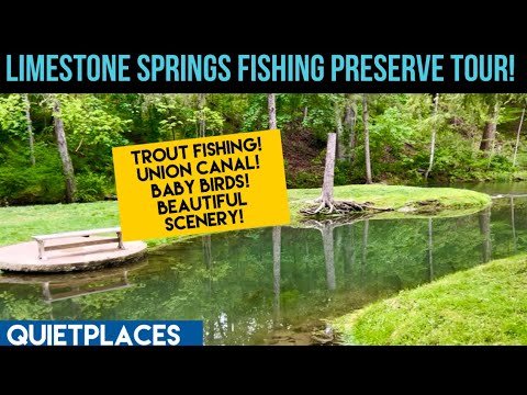 Limestone Springs Fishing Preserve Tour, Union Canal Lock 16 & Adorable ...