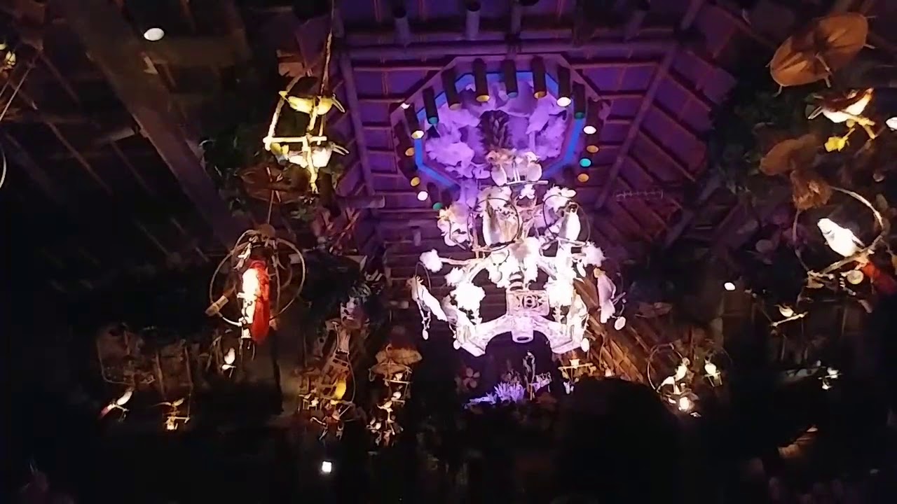 Tiki Room on Tiki Day 2017 with Tiki Fans at Disneyland! - YouTube