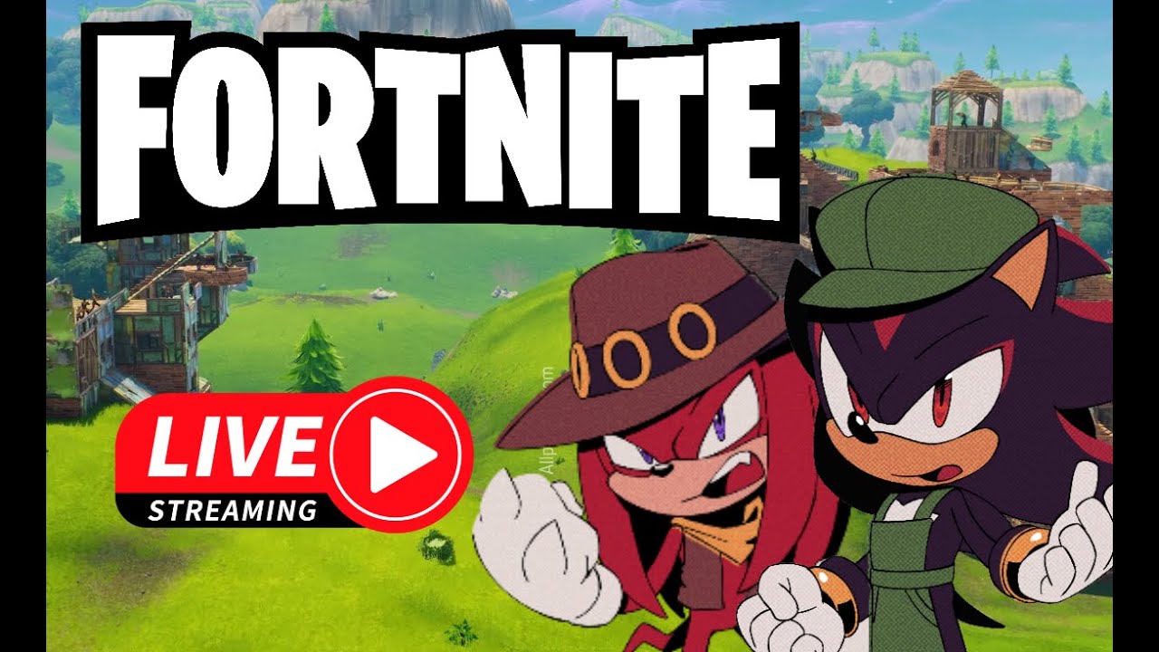 Shadow and Knuckles Play Fortnite LIVE - YouTube