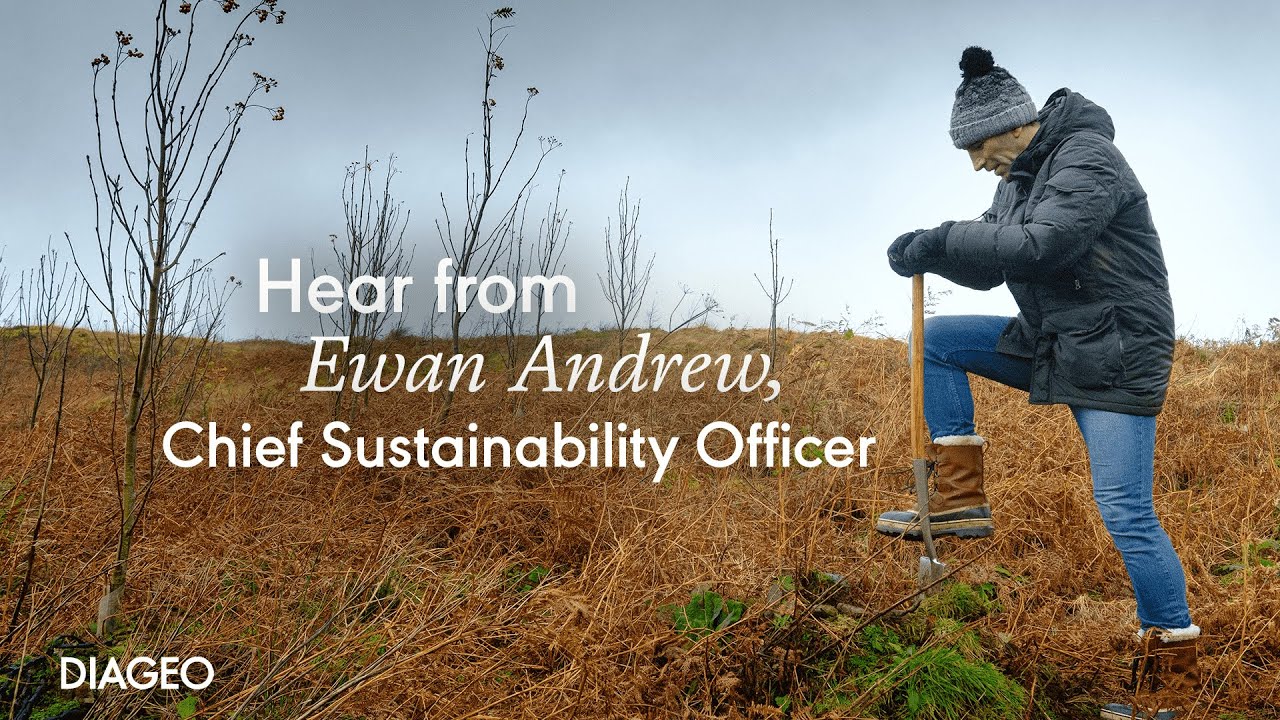 COP28: Hear from Ewan Andrew, Chief Sustainability Officer | Diageo ...