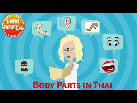Learn Thai I Body Part - Body Pain I Thai Dialogues I Basic Thai ...