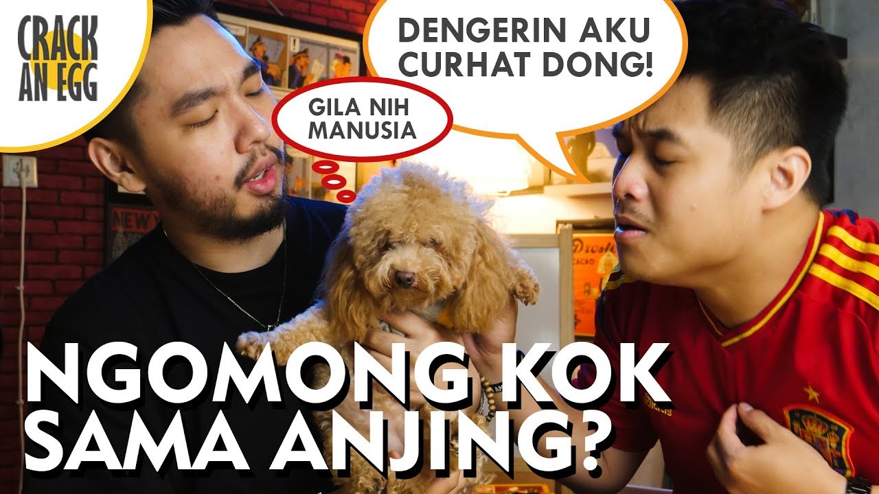 ANJING KOK DIAJAK NGOMONG? SUDAH GILA YA? - YouTube