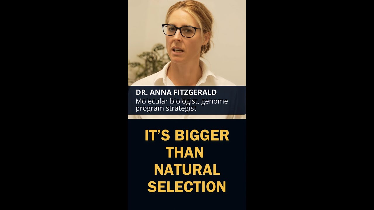 Human Condition Solved by Biologist Jeremy Griffith in Must-Watch ...