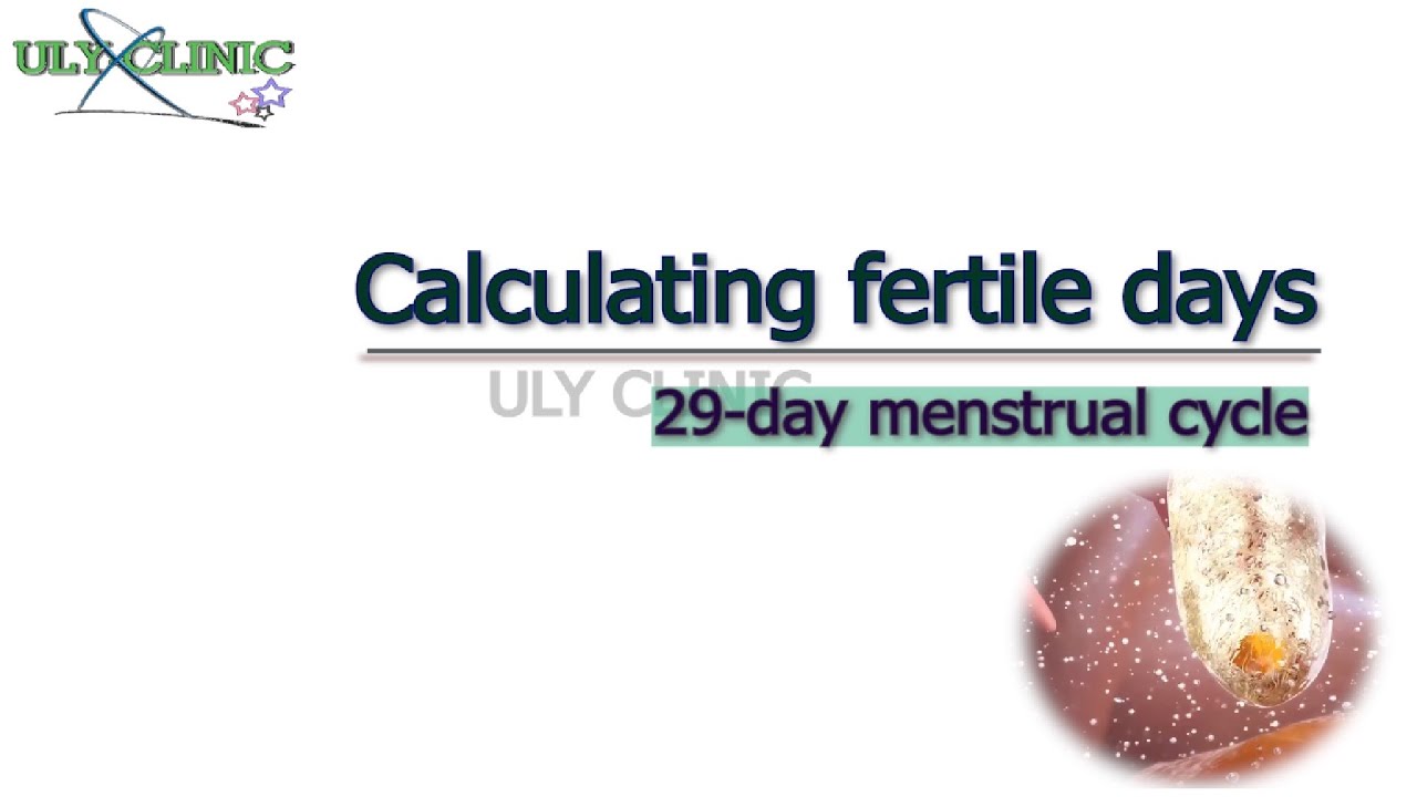 Fertile days for a 29-day menstrual cycle - YouTube