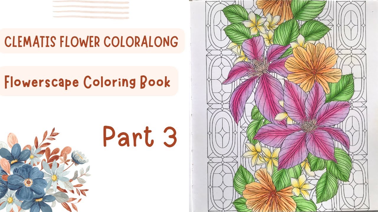 Adult Coloring | Clematis Flowers from Flowerscape | Step-by-step ...